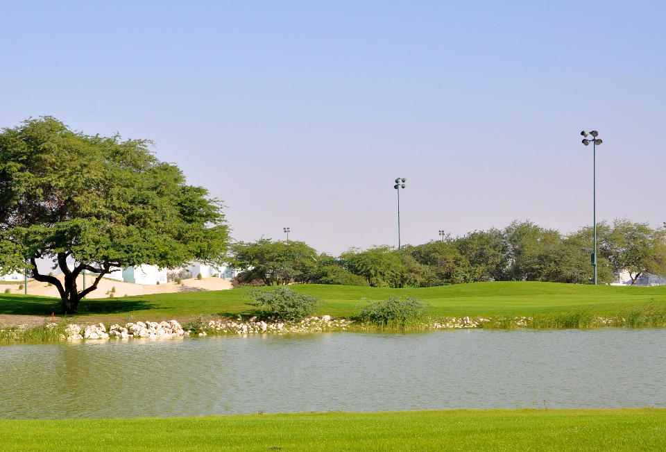 Home - Royal Golf Club